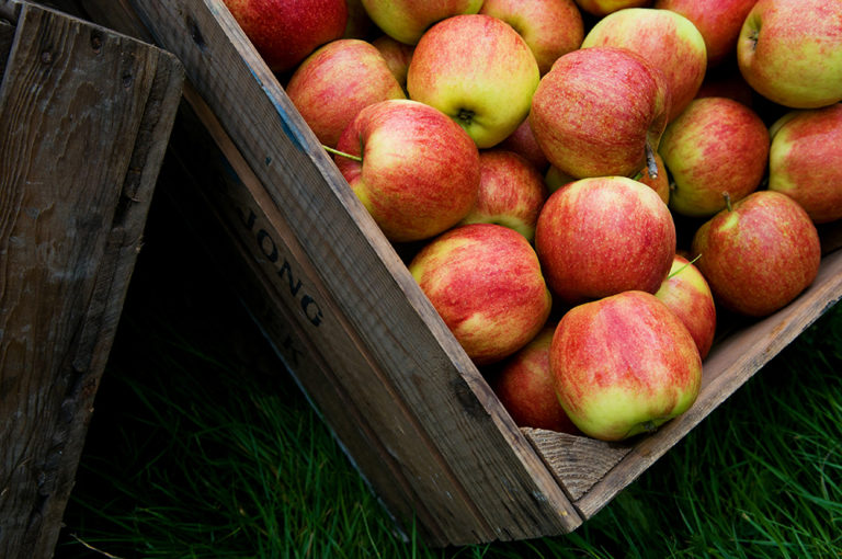 4316 Appels in houten krat - harvest & food stock photos